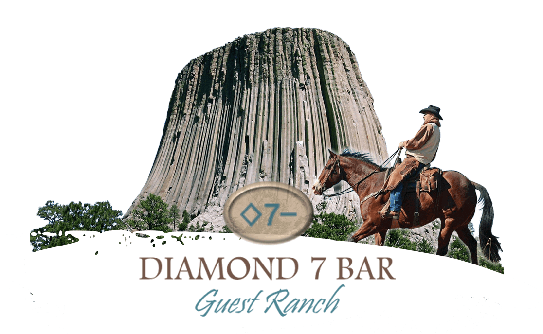 Custom Web Design & App Development Company - DreamCo Design