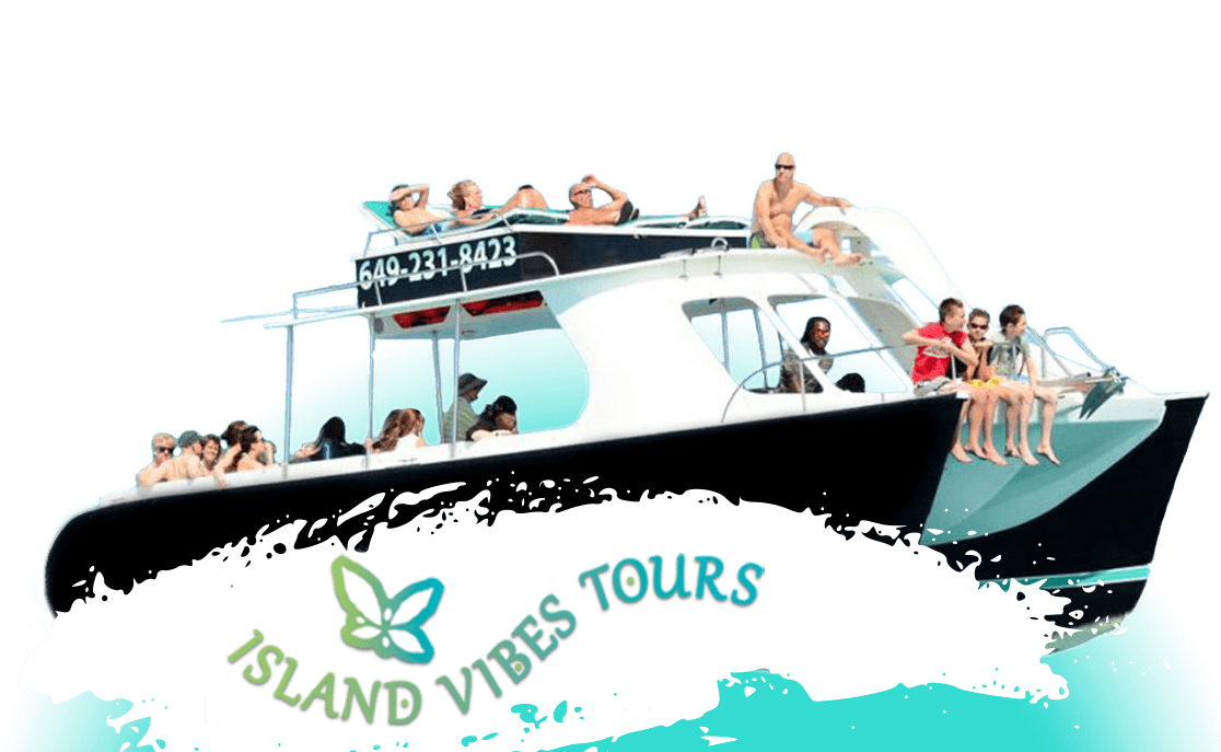 Custom Web Design & App Development Company - DreamCo Design